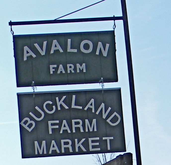 About Us - Buckland Farm Market - Warrenton VA