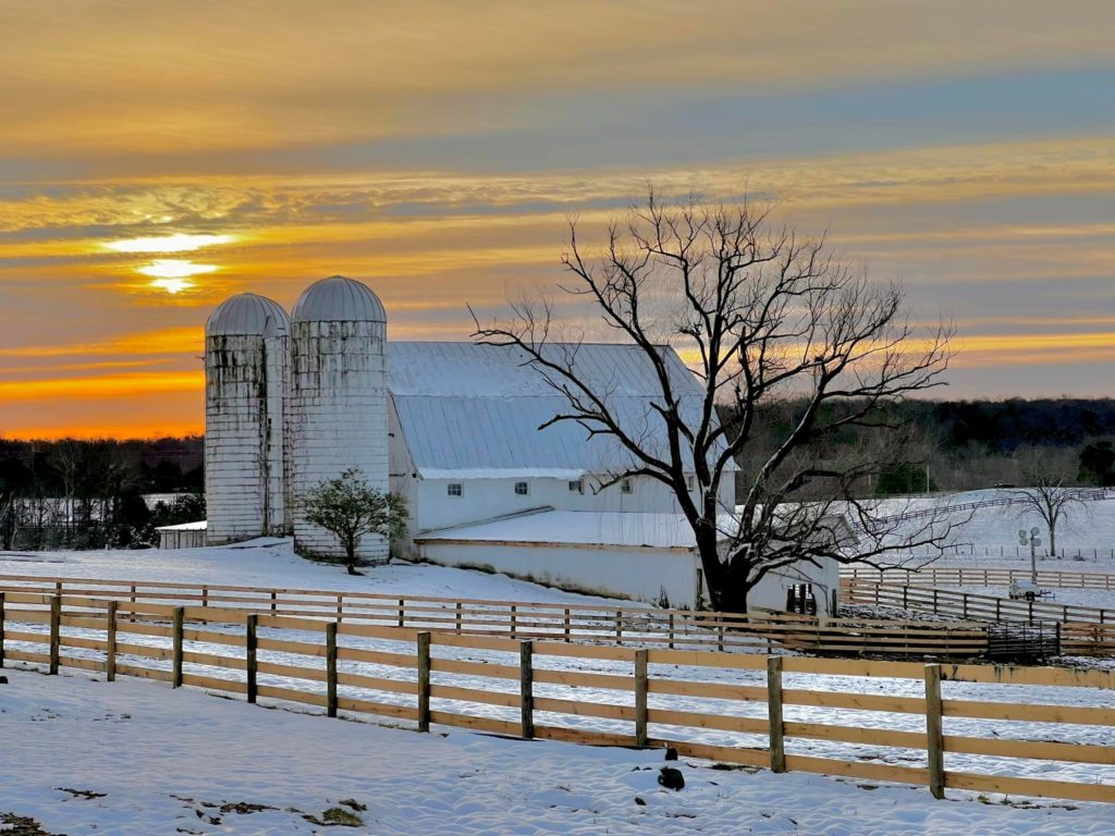 Seasonal Produce - Buckland Farm Market - Warrenton VA